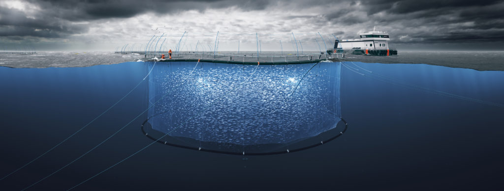 Midgard® System | ScaleAQ