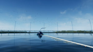 Feeding System - ScaleAQ