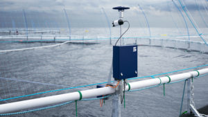 Camera System - ScaleAQ