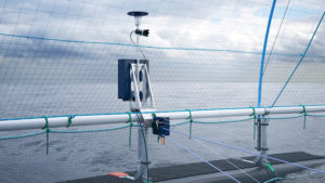 Camera System - ScaleAQ