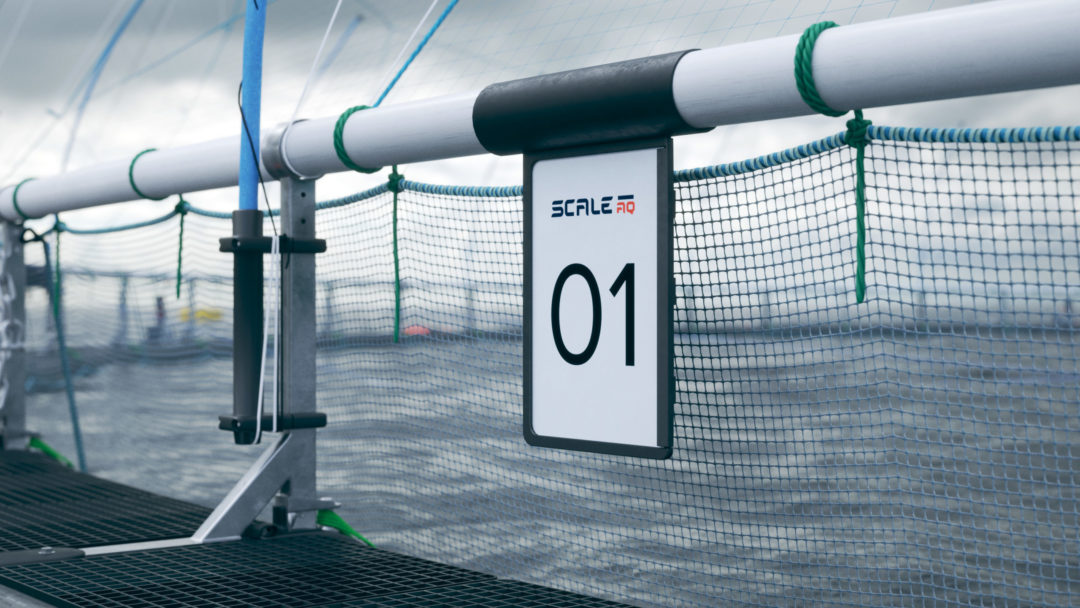 Pen Accessories - ScaleAQ