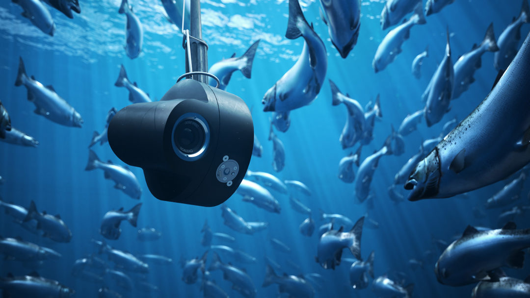 Camera System - ScaleAQ