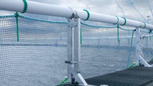 Midgard® System - ScaleAQ