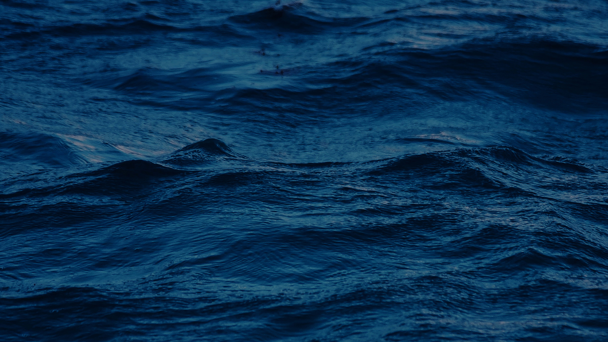 ScaleAQ - We are aquaculture | ScaleAQ