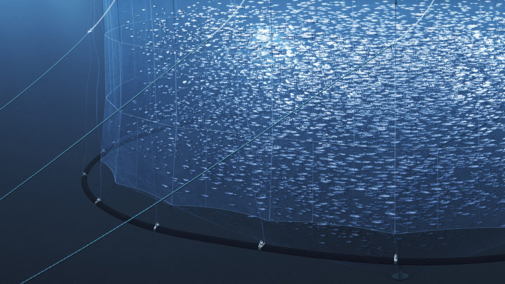 Nets customized for the Midgard System | ScaleAQ