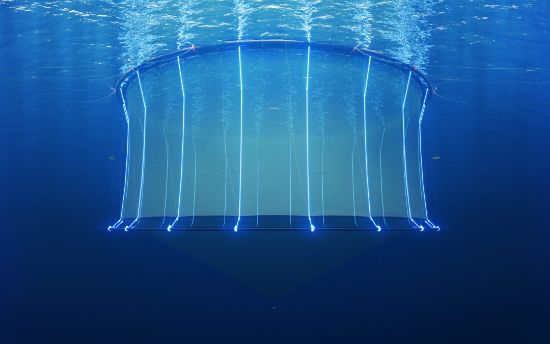 Pen Systems - ScaleAQ