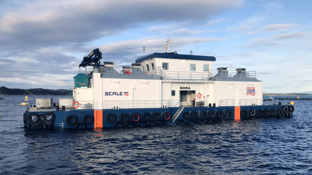 Feeding Barges - ScaleAQ