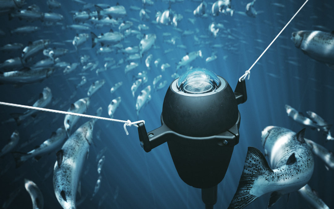 Camera System - ScaleAQ