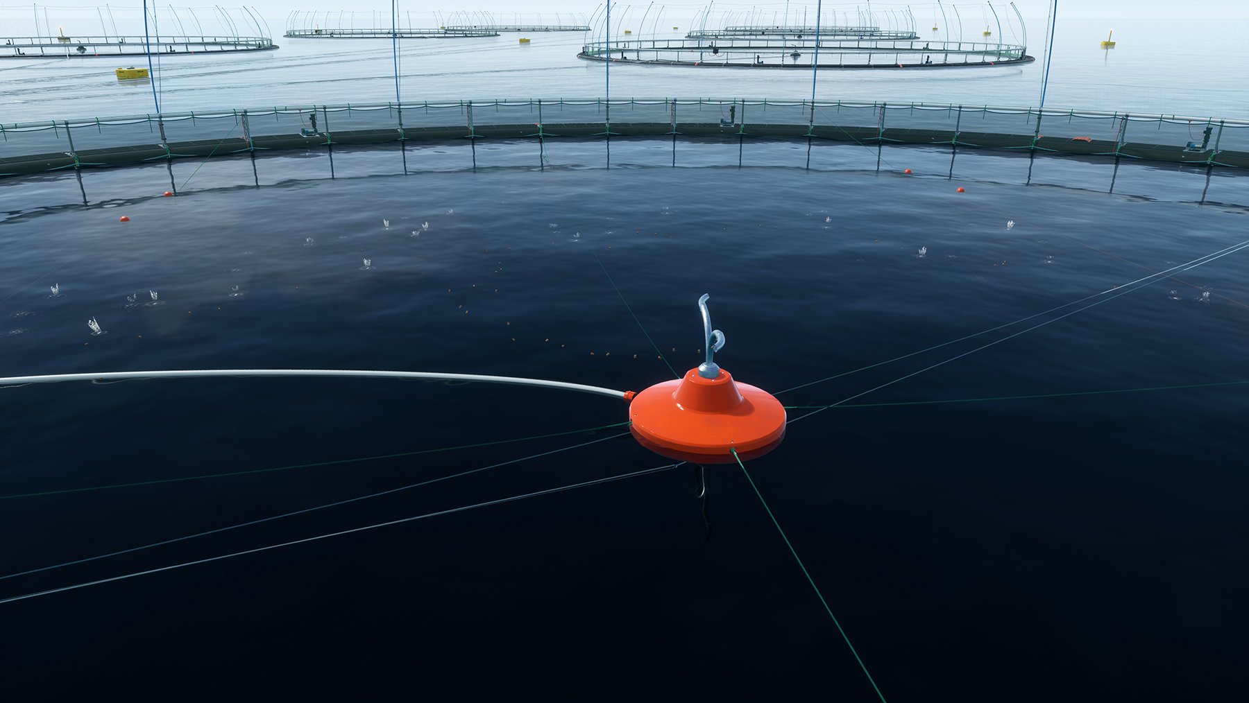 SmartSpreader™ - ScaleAQ