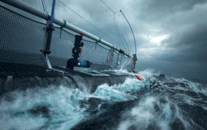 Pens and mooring - ScaleAQ