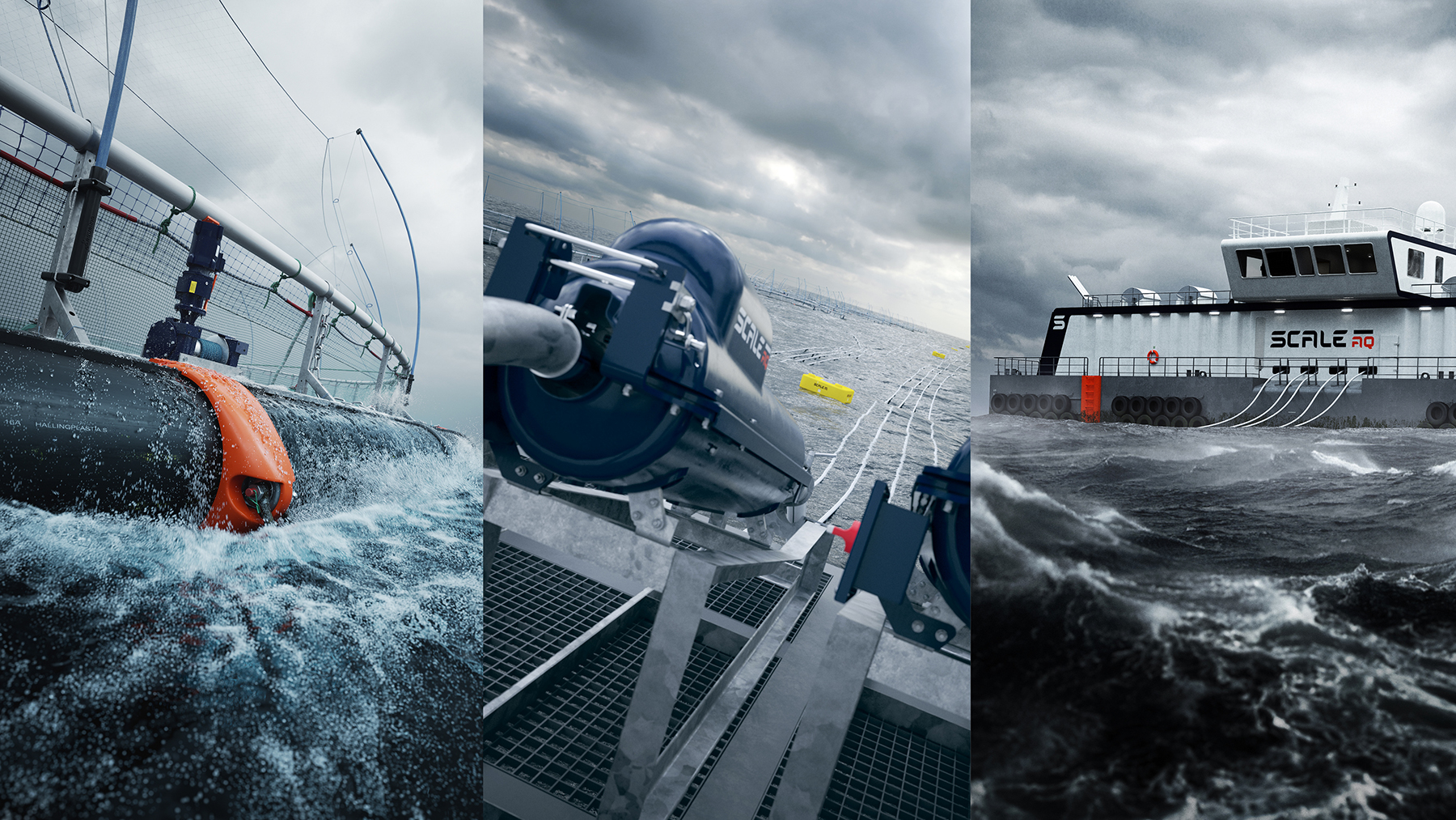 Service agreement: Technical inspection - ScaleAQ