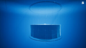 Subsea System