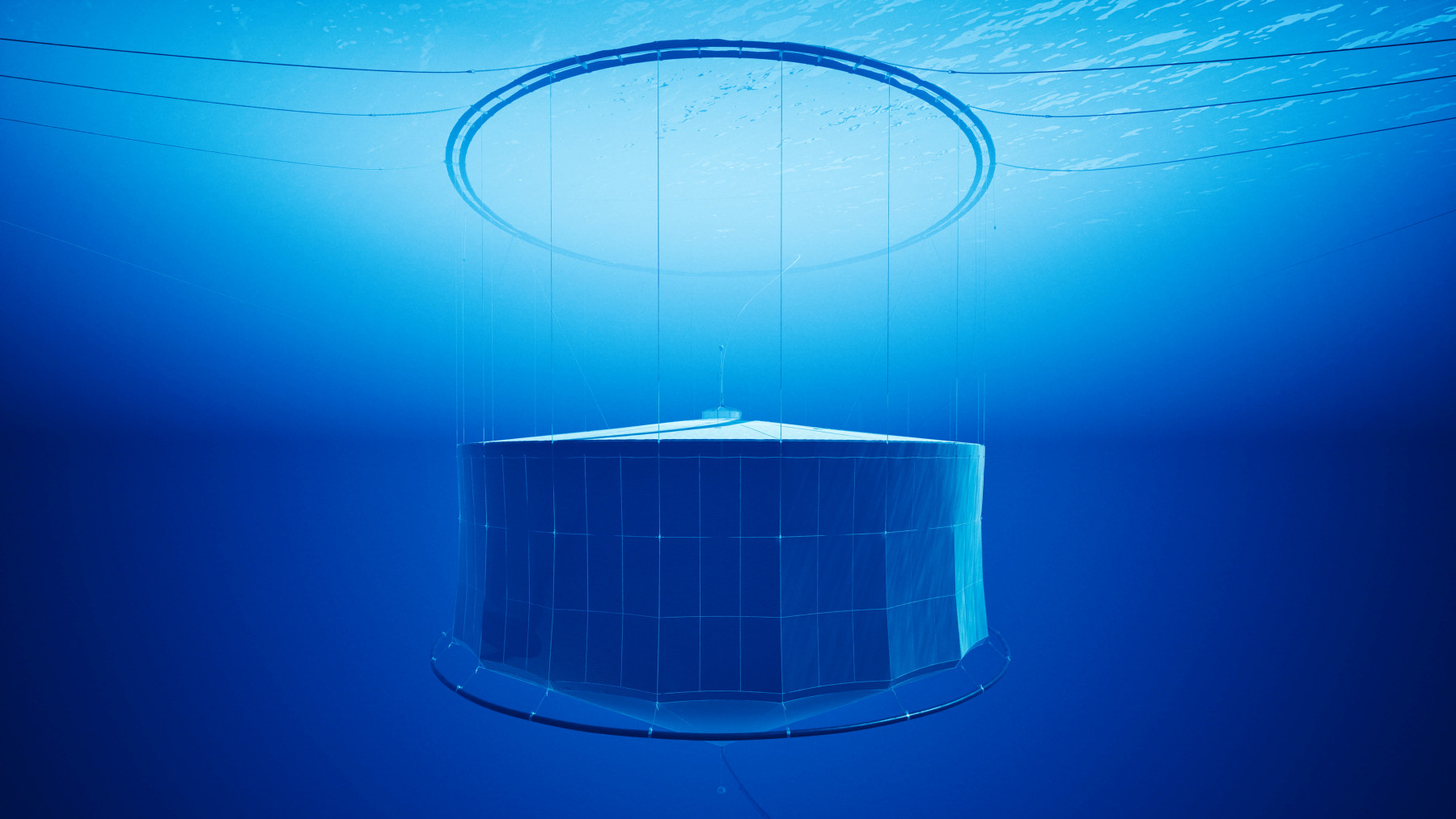 Pens and mooring - ScaleAQ